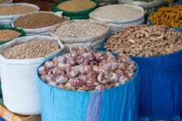 Fresh Connect: Food Prescription Program Spotlight