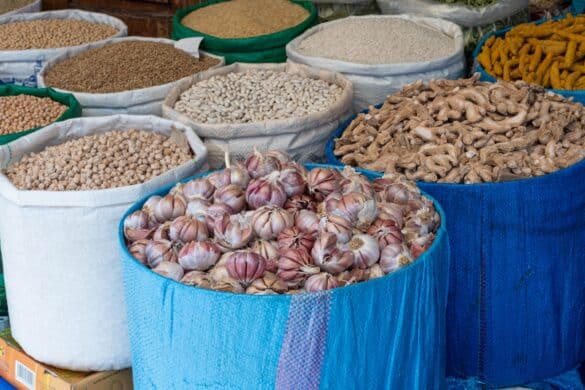 Berry Smart: How Polyphenols in Berries Boost Brainpower at Any Age